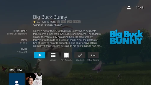 Jellyfin for Android TV App - Reviewed