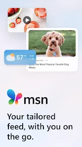 MSN App - Reviewed