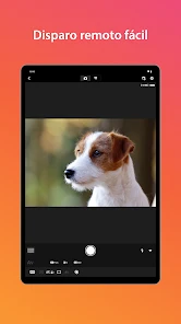 App Canon Camera Connect - Reviewed