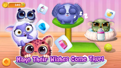 App Smolsies - Casinha de pets - Reviewed